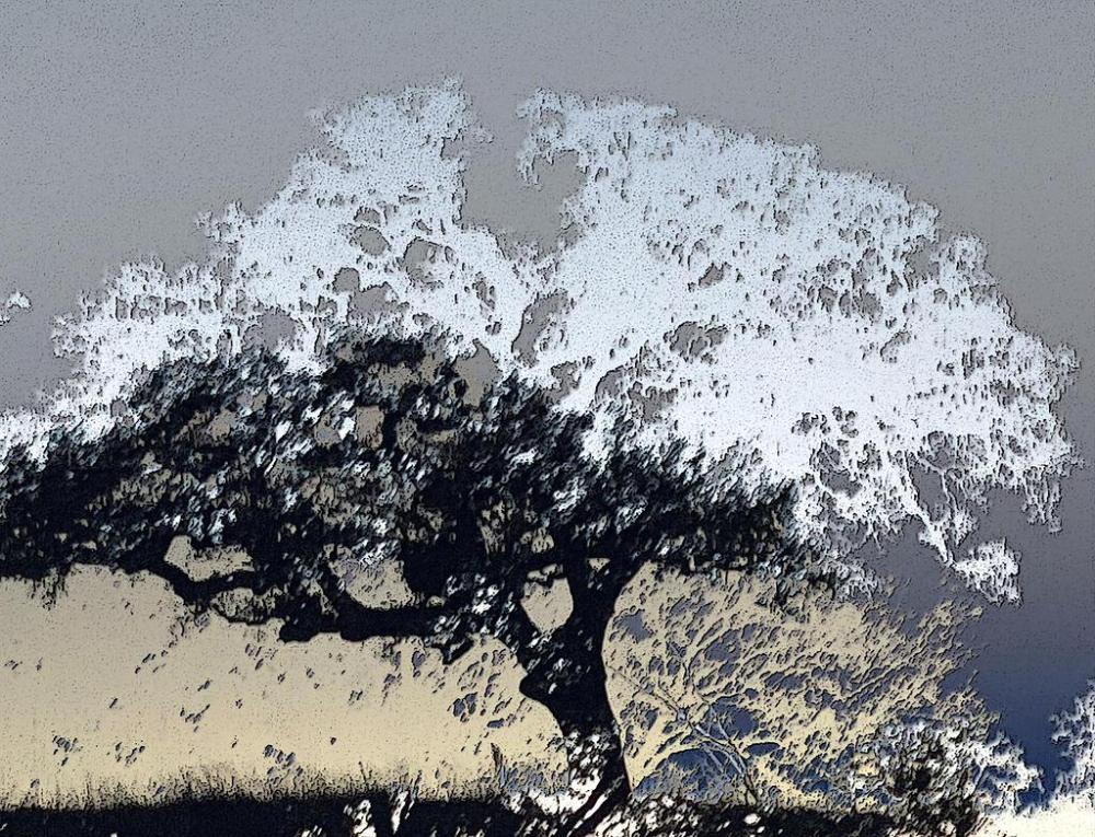 California Art League - "California Dreaming" - Parks & Recreation ...