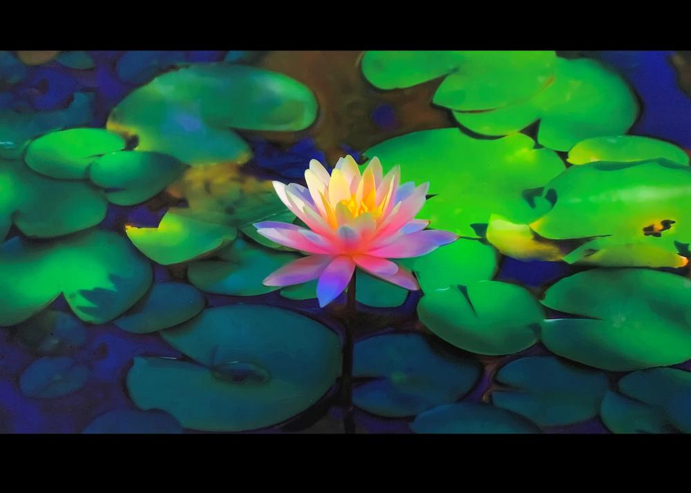 Burbank Art Association Fall 2022 - Parks & Recreation - City of Burbank