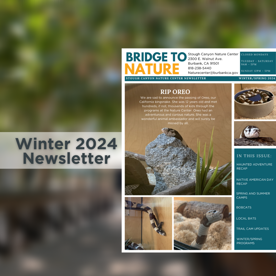 Stough Canyon Nature Center - Parks & Recreation - City of Burbank