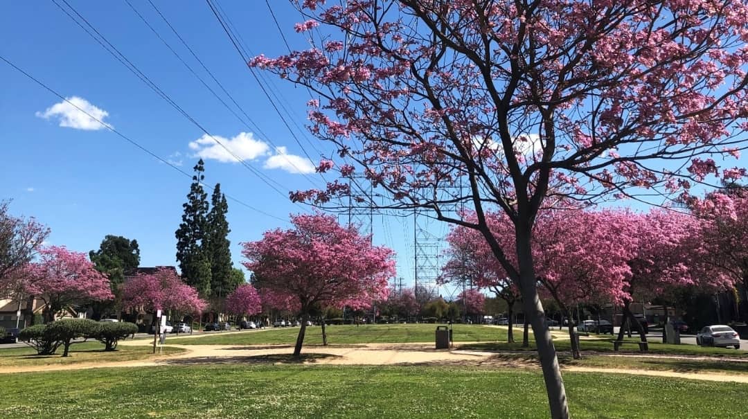 Whitnall Highway Park South - Parks & Recreation - City of Burbank